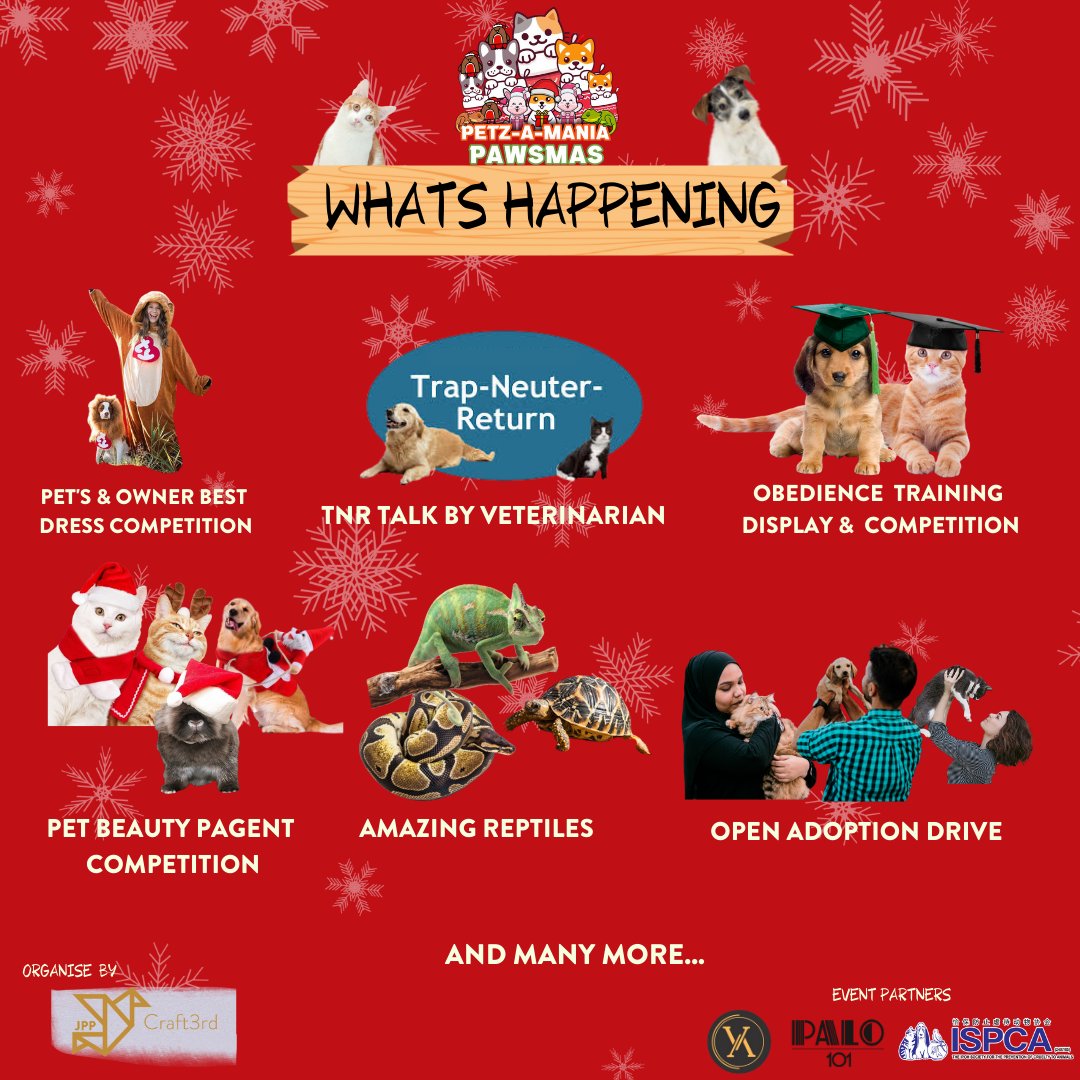 PALO 101's Lifestyle Bazaar - My Ipoh | Your Digital Online Media News ...